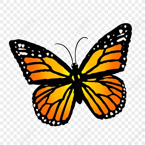 Cartoon Butterfly Monarch Butterfly Clipart Cartoon Style Light Effect