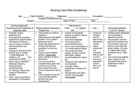 Care Plan Guide Samples And Lectures For Nursing Care Plan Nursing