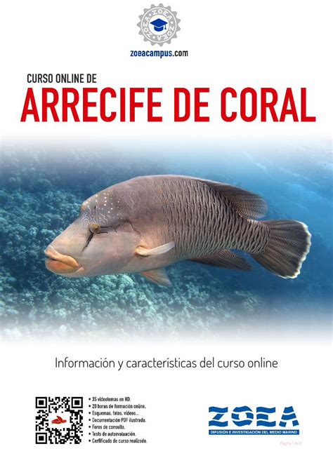 PDF Información y características del curso onlinezoeacampus