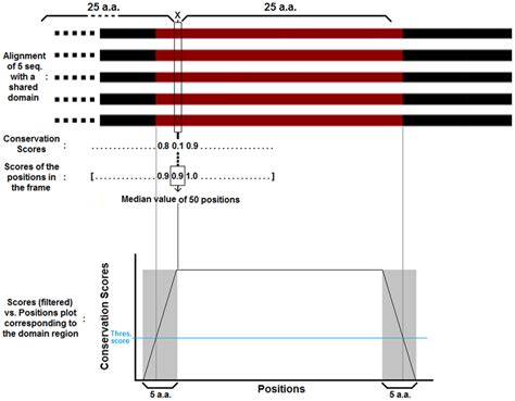 median filtering representation of the median filtering application to download scientific