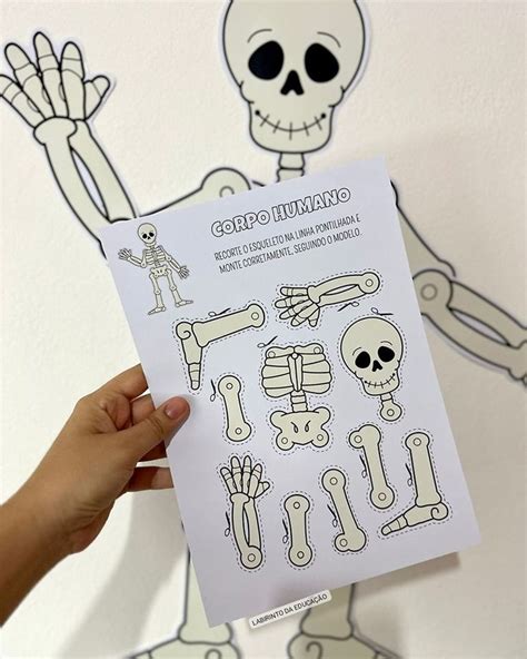Materiais Pedagógicos Dia a Dia on Instagram KIT CORPO HUMANO O