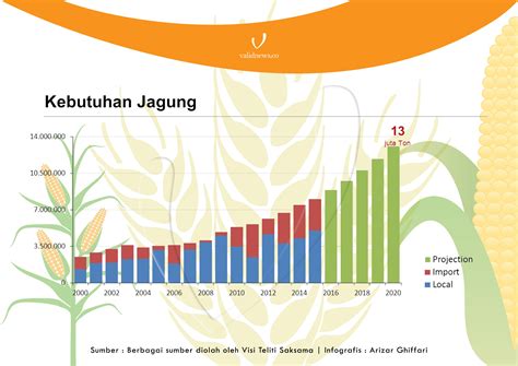 Penuhi Kebutuhan Pakan Ternak Pemerintah Impor Jagung 100 Ribu Ton