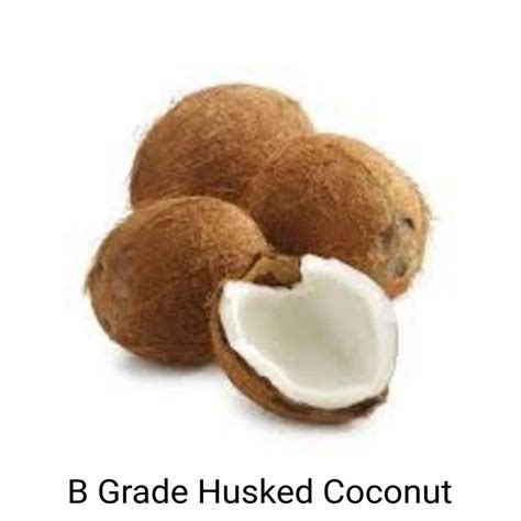 Whole B Grade Husked Coconut Coconut Size Medium At Rs 15 Piece In