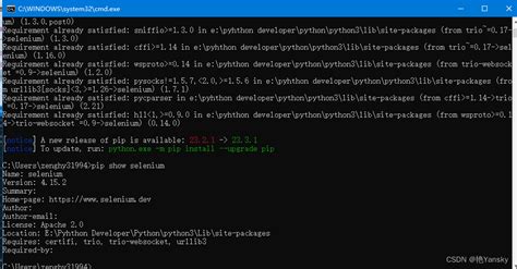 【python selenium学习系列2 1】selenium 与 chromedriver安装 python chromedriver csdn博客