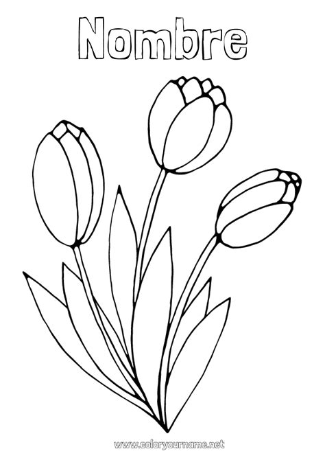 Nº de colorear 1400 Flores Primavera Dibujos fáciles para colorear