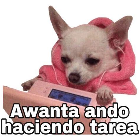 Memes Frases Para Stickers De Whatsapp Graciosos The Best Porn Website