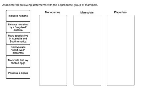 SOLVED Associate The Following Statements With The Appropriate Group