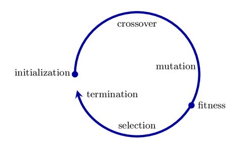 schematic representation of genetic algorithm cycle download scientific diagram