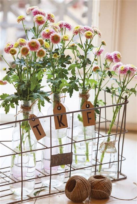 Crisantemos Los Cuidados De Esta Elegante Flor Y Todos Sus Significados