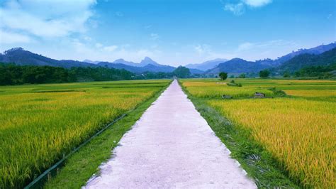 Chia sẻ hơn 70 hình nền phong cảnh làng quê đẹp nhất Sai Gon English