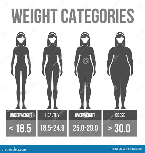 Woman Body Mass Index Royalty Free Stock Photos Image