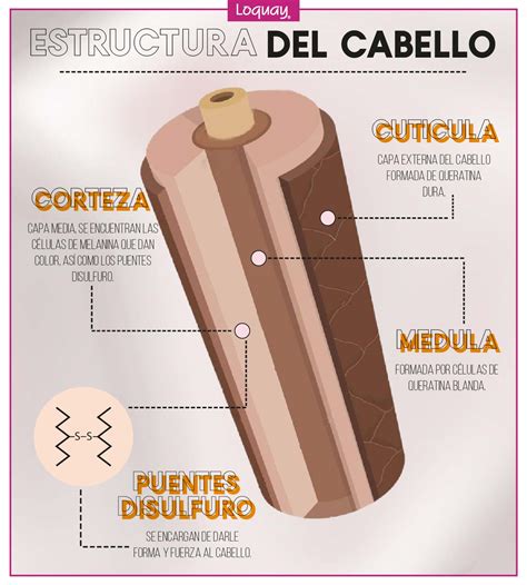 Qué es el pH Tinte para el Cabello Tips y Tendencias