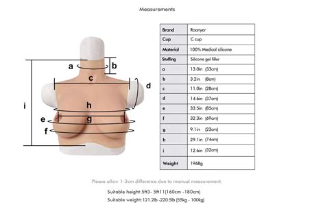 C Cup Breasts East West Shape