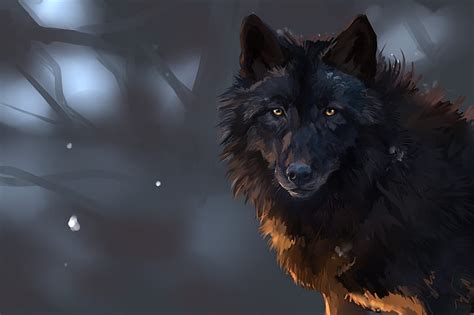 HD Wallpaper Forest Look Branches Wolf Wallpaper Flare