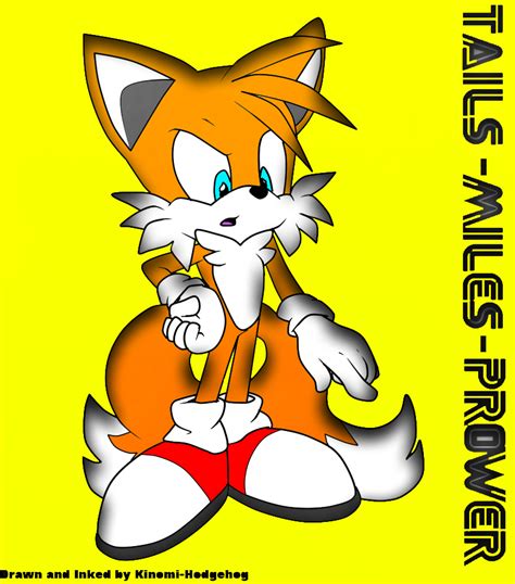 Sonic And Tails Hentai Image