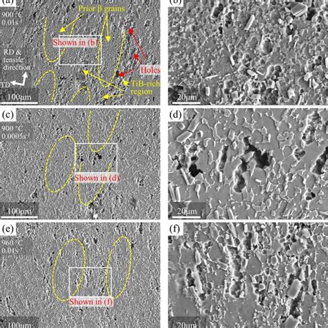 Sem Images Of The Microstructure Of The Tensile Specimen Surface Near