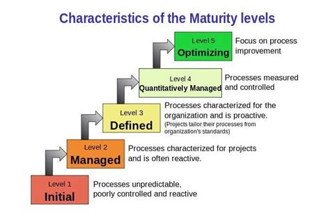 What Is Capability Maturity Model CMM What Are CMM Levels Testing