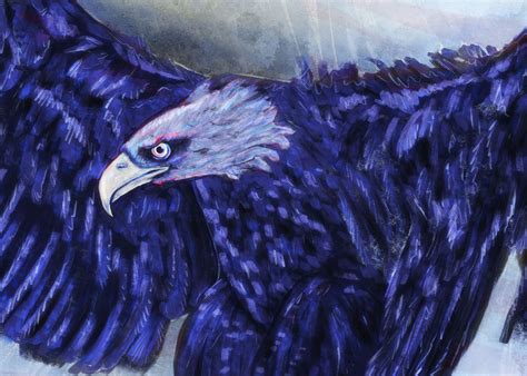 American Bald Eagle Poster By Jarrod Vandenberg Displate
