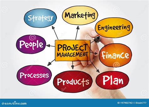 Project Mind Map Flowchart Business Concept For Presentations And