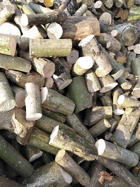 Sprzedam Drewno Drzewo Opalowe Malbork Olx Pl