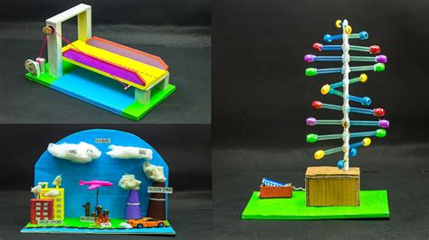 Science Working Models For Class Biology