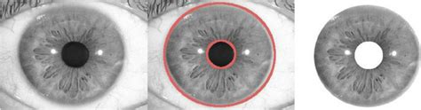 stages of iris localization left greyscale eye image middle two download scientific diagram