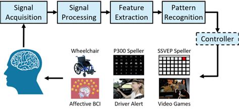 transfer learning for eeg based brain computer interfaces a review of progresses since 2016