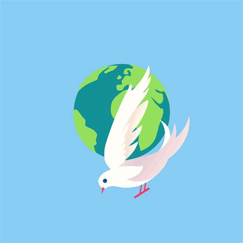 Cuántas clases de palomas hay en España granjaonline