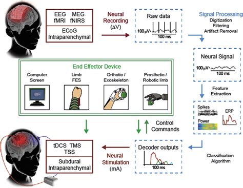 brain computer interfaces in rehabilitation medicine bockbrader 2018 pmandr wiley online
