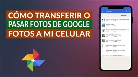 Cómo Transferir Descargar o Pasar Fotos de Google Fotos a la Galería