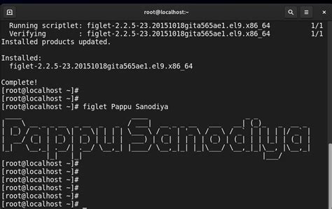 Exploring Art Of Ascii In Linux To Generate Ascii Art On A Linux By Pappu Sanodiya Medium