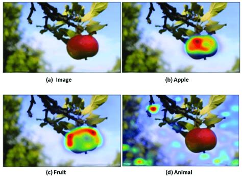 the proposed knowledge updated multimodal object detection model can download scientific
