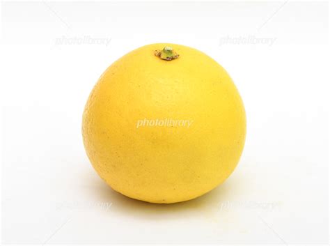 国産のオロブランコスウィーティー 写真素材 6999962 フォトライブラリー photolibrary