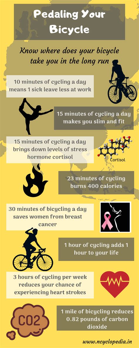 Bike Calorie Calculator Wickedkiza
