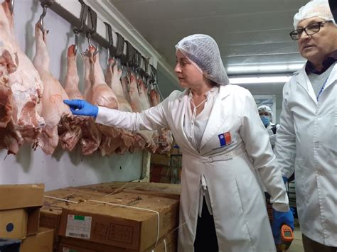 41 Sumarios Sanitarios Y 500 Kilos De Carne Ha Decomisado La Seremi De