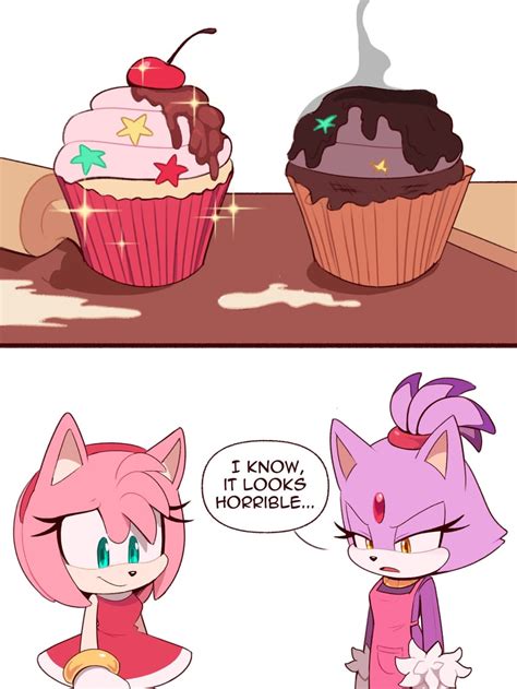 Amy Rose And Blaze The Cat Sonic Drawn By Toonsite Danbooru