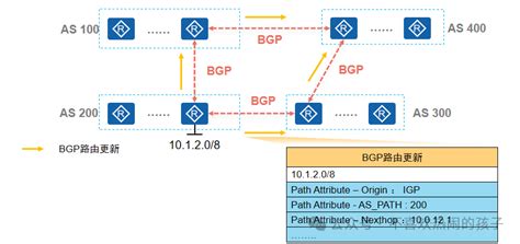 计算机网络 BGP基础概念非常详细零基础入门到精通收藏这一篇就够了 CSDN博客