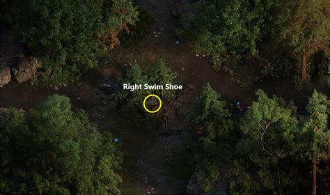 The Genesis Order All Secrets Guide V Steamah