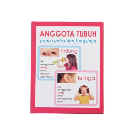 Jual Flash Card Mengenal Anggota Tubuh Panca Indra Dan Fungsinya Kartu