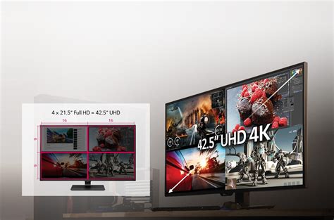 43 IPS UHD 4K Monitor LG US Business