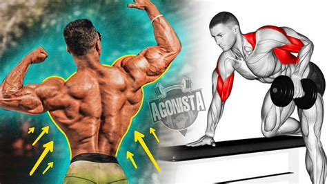 Treino De Costas Completo Halteres E Peso Corporal Da Para Fazer