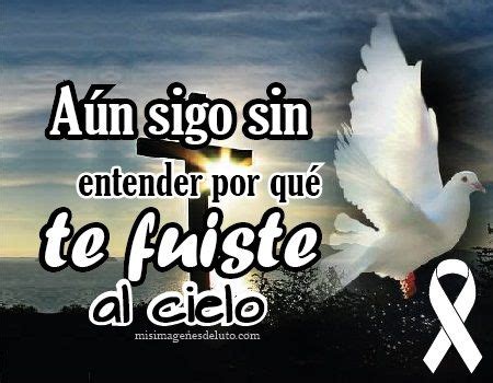 No Entiendo Porque Te Fuiste Al Cielo