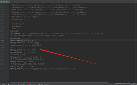 intellij idea 2019 配置 php 调试 xdebug 并进行测试 idea调试php输出日志到控制台 csdn博客