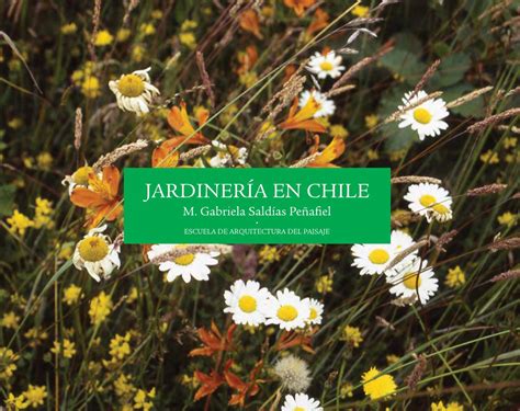 Consejos Pr Cticos C Mo Mejorar La Tierra De Tu Jard N Y Lograr Un