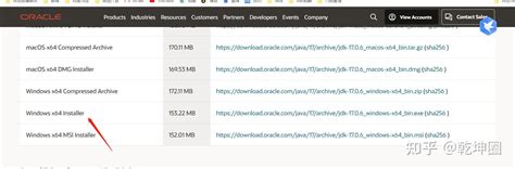 jdk17下载及环境变量配置 知乎