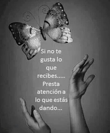 Si no te gusta lo que recibes Presta atención a lo que estás dando