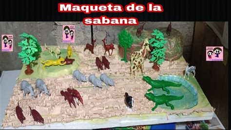 Maqueta De Ecosistema Terrestre De La Sabana YouTube