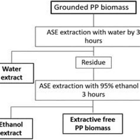 Accelerated Solvent Extraction ASE Extraction Procedures Of PP For