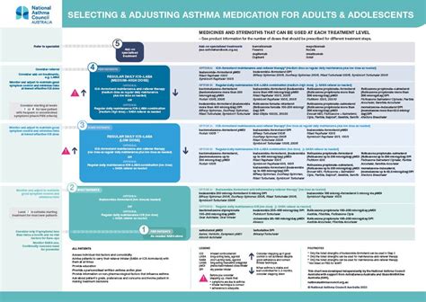 Updated Asthma Charts For Health Professionals National Asthma