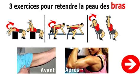 Musculation Bras Avant Bras Exercices Pour Ces 8 Muscles